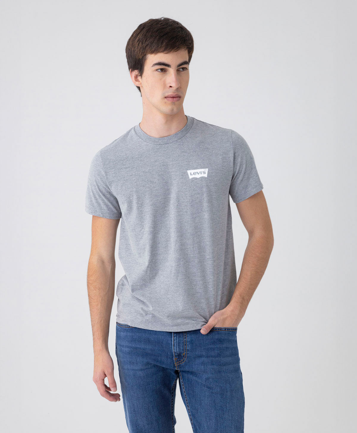 Camiseta Manga Corta Levi's® Para Hombre Standard 234287 | Levi's®